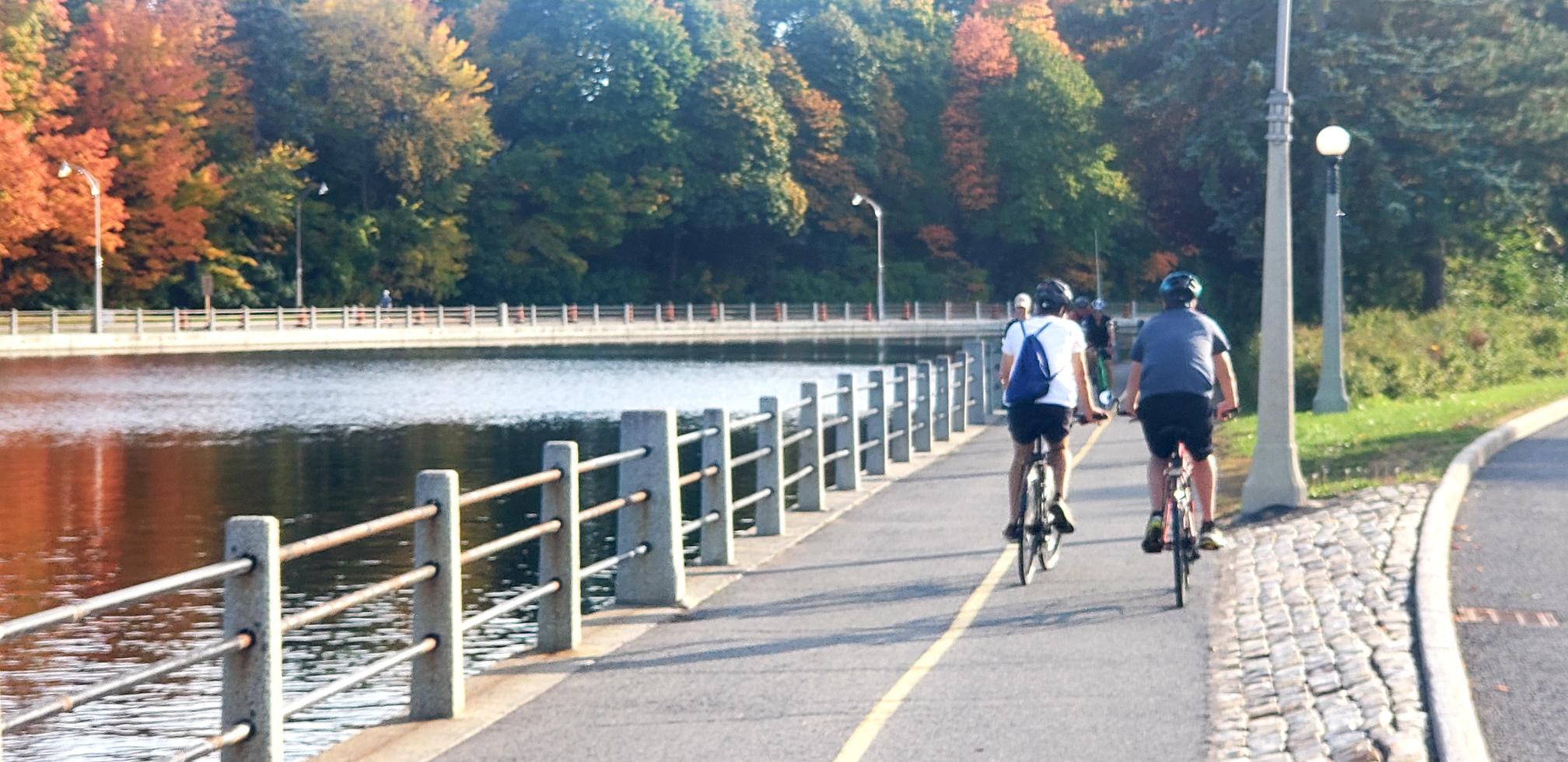 Your Guide to Living in The Glebe | Chell Team Ottawa Real Estate Agents